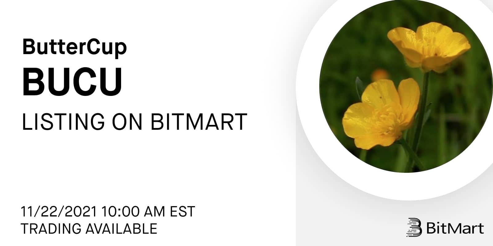 BitMart Lists ButterCup (BUCU) – BitMart